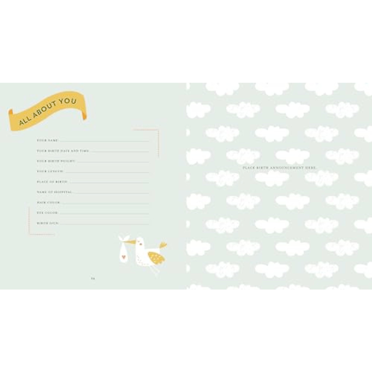 A Grandparent's Keepsake Album: Special Memories of My Grandchild’s First Years