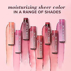 Burt's Bees Lip Tint Balm with Long Lasting 2 in 1 Duo Tinted Balm Formula, Color Infused with Deeply Hydrating Shea Butter for a Natural Looking Buildable Finish, Petal Rose (2-Pack)