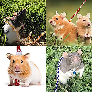 WoYous Hamster Harness 5 Pieces Adjustable Small Animal Bell Harness Rope Harness for Lead Walking Pet Gerbil, Rat, Mouse, Hamster Harness
