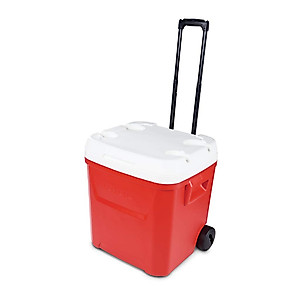 Igloo 00034495 Laguna 60 Roller Red Star, White, White, White