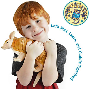 TigerHart Mike The Armadillo - 10 Inch (Tail Measurement not Included!) Stuffed Animal Plush