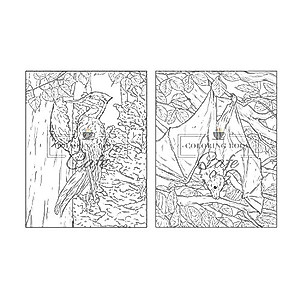 100 Wildlife Scenes: An Adult Coloring Book Featuring 100 Most Beautiful Wildlife Scenes with Animals, Birds and Flowers from Oceans, Jungles, Forests and Savannas