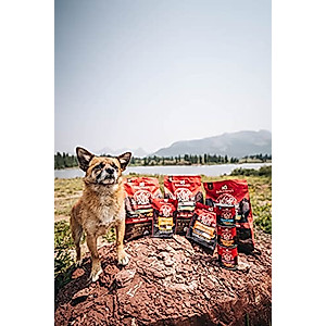Stella & Chewy's Wild Red Dry Dog Food Raw Blend High Protein Grain & Legume Free Red Meat Recipe, 3.5 lb. Bag