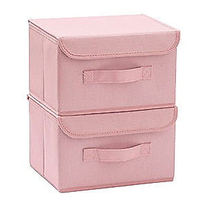BICOY Foldable Storage Boxes with Lid 2PCS Cube Fabric Organizer Basket Home Bedroom Closet Office Storage Bins for Clothes, Toys, Sundries, Papers, Books Pink 9.8"x7.5"x5.9"