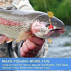 OROOTL Spinner Lure Making Kit, 246pcs Fishing Lure Making Kit Spinner Blades Fishing Pliers Lure Bodies Spinnerbait Shafts Treble Hooks Set Walleye Rig Making Supplies