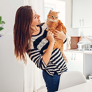 Royal Canin Cat Food 3 Flavor 6 Can Sampler, (2) Each: Urinary Care Slices in Gravy, Indoor Morsels in Gravy, Adult Instinctive Loaf (3 Ounces) - Plus 2 Catnip Toys and Fun Facts Booklet Bundle