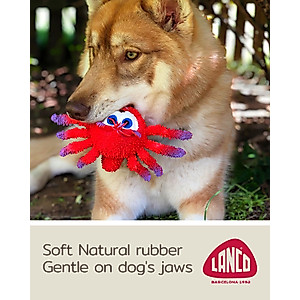 Sensory Spider - Squeaky Dog Toys - Medium Breeds - Natural Rubber/Latex - Comply with Same Safety Standards as Baby Toys