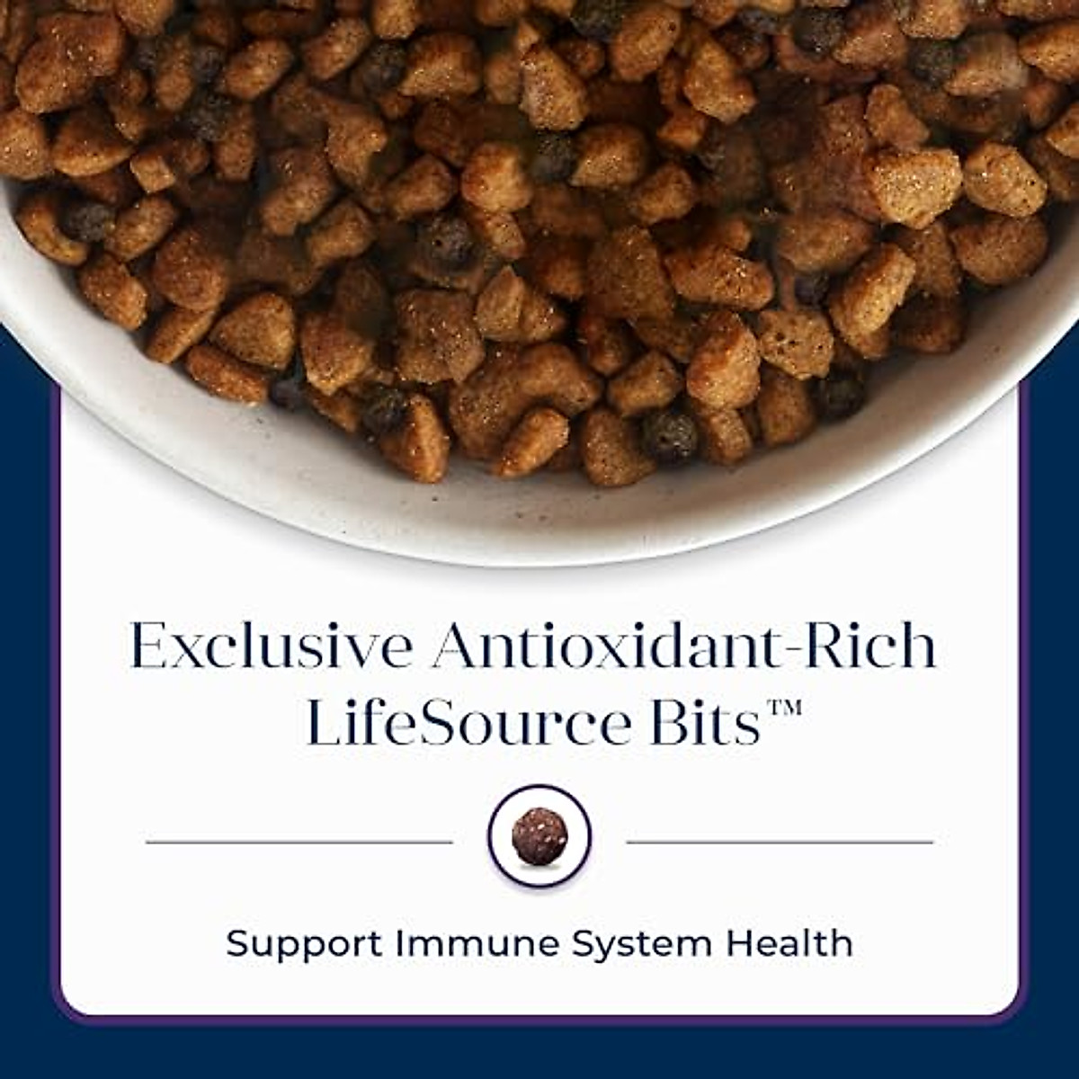 Blue Buffalo Basics Grain-Free Senior Dry Dog Food, Skin & Stomach Care, Limited Ingredient Diet, Turkey Recipe, 4-lb. Bag