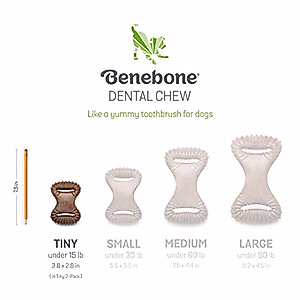 Benebone Puppy 2-Pack Dental Chew/Wishbone Dog Chew Toys, Made in USA, Real Bacon Flavor