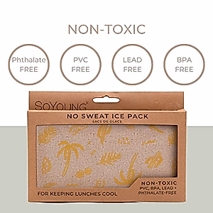 SoYoung Reusable Ice Packs for Lunch Bags, Long Lasting Freezer Pack for Lunch Box, Non-Toxic, Lightweight and Slim Cool Pack for Travel, Food, Beach, Condensation Free