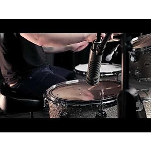 Evans Skin (ETP-EC2SCLR-F)