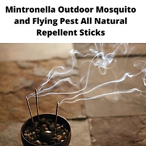 Mosquito Outdoor Patio Sticks - Farm Raised Candles MINTRONELLA - U.S.A. Made - 100 Pack - No See Um - Gnats - Fly Outdoor Incense Bug Sticks. Citronella + Peppermint - Lavender Oil
