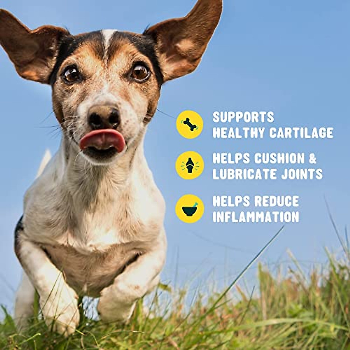 Glucosamine for Dogs Soft Chews 120 ct - Hip and Joint Supplement for Dogs with Chondroitin, Turmeric & MSM - Dog Joint Supplement + Vitamin E for Small, Large Breed & Senior Dogs Mobility Support