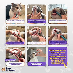 PAWINTOWN Soft Cat Toothbrush Set – Suitable for Dogs – Food Grade Silicone – Cat Dental Care, Cat Teeth Cleaning, Cat Tooth Brushing Kit (Tropical Teal)