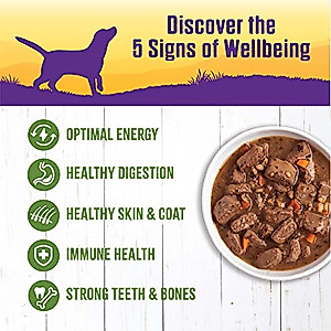 Wellness Thick & Chunky Natural Canned Dog Food, Lamb & Beef Stew, 12.5-Ounce Can (Pack of 12)
