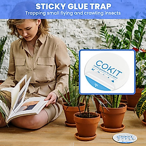 COKIT 12-Pack Glue Pads for Flying Insect Traps, Sticky Glue Boards Refill for Gnats, Mosquitoes, and Fruit Fly Catchers, Indoor Replacement Cards (4.0 Inches)