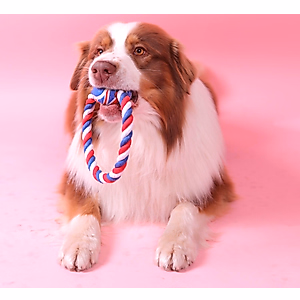 PET LONDON British Union Jack Rope Ring and Tennis Ball Dog Toy-English UK Colours for Dogs