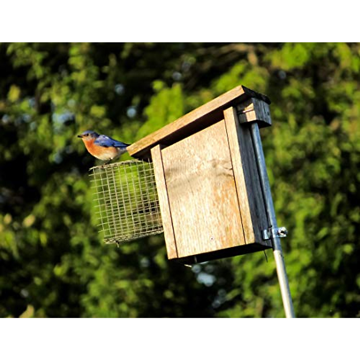 Flowing River Farm- Bird House Wire Entrance Predator Guard