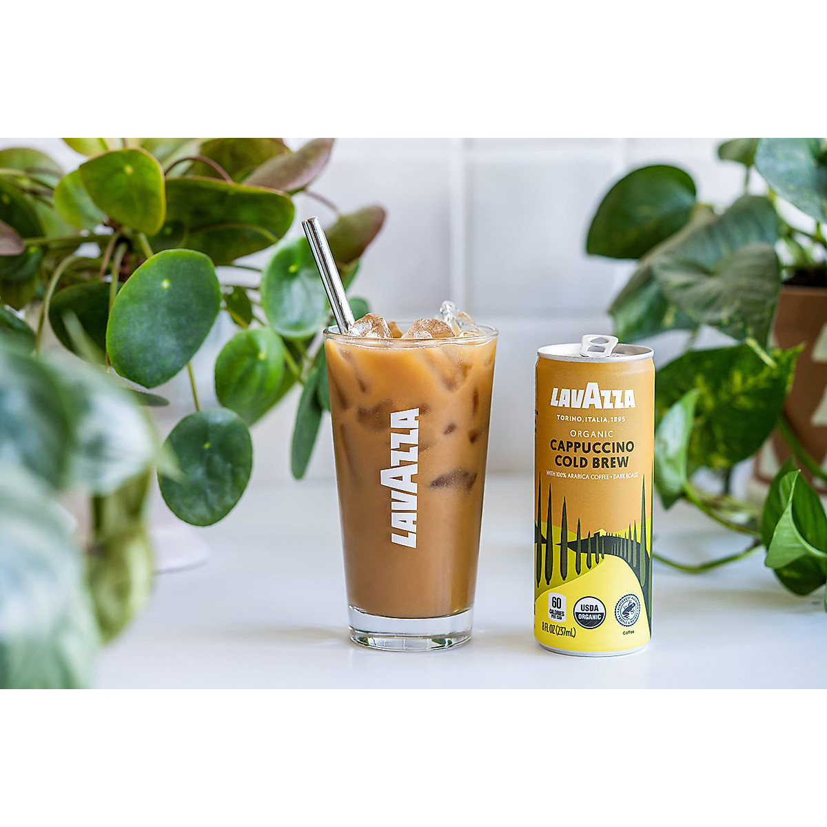 Lavazza Organic Cappuccino Cold Brew Coffee - (8 Fluid Ounce - Pack of 4)