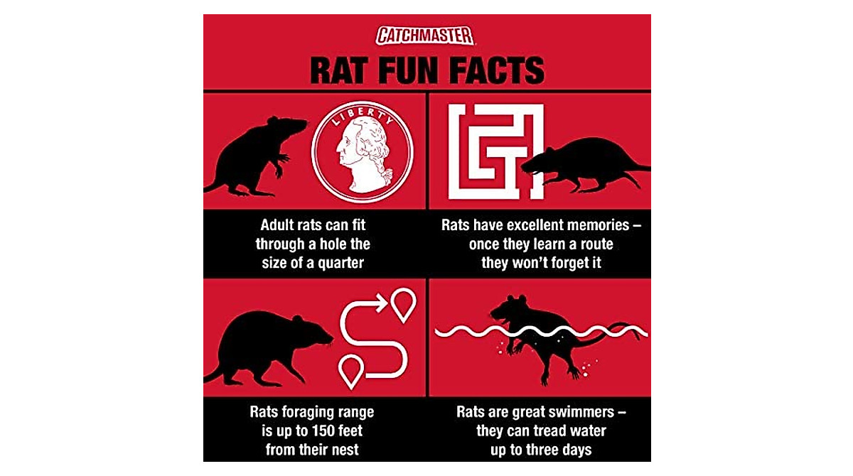 Catchmaster Claw Rat Trap 6-Pack - Reusable Indoor/Outdoor Pest Control