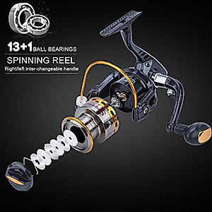 Sougayilang Telescopic Fishing Rod Reel Combos Portable Fishing Pole with Spinning Reel Fishing Carrier Bag for Travel Saltwater Freshwater Fishing-2.1M/6.89Ft