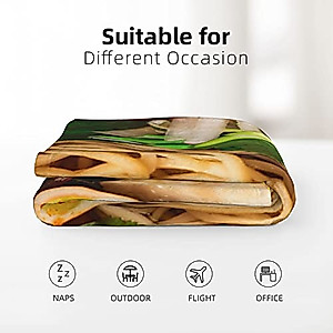 LASWEGA Ramen Blanket Ramen Chicken Flavor Noodle Soup Throw Blanket, Flannel Fleece Air Conditioning Quilt Best Gift Lightweight Cozy Plush Blanket for Sofa Chair Bedroom,60"x50"