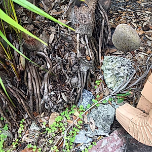 Memeyou Fake Rock Key Hider Decoration Safe Holder For Outdoor Yard Garden Large Size Design Hide A House Spare Key Lock Box For Outside