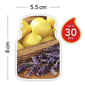 Yankee Candle 5038580018141 jar Small Lemon Lavender YSMLL, one size
