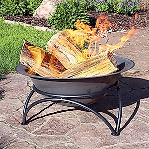 Sunnydaze 23.5-Inch Fire Wood-Burning Cast Iron Fire Pit Bowl and Stand - Dark Gray