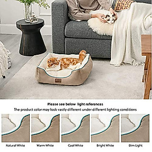 Bedsure Dog Beds for Large Dogs - Cat Beds for Indoor Cats, Rectangle Cuddle Large Medium Dog Bed Washable with Anti-Slip Bottom, 30 Inches, Camel