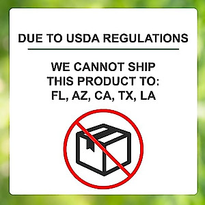 Garden State Bulb Meyer Lemon Tree, Citrus Live Plant (1 Gallon Growers Pot) Cannot Ship FL, AZ, CA, TX, LA