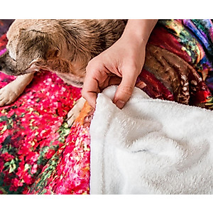 Disney Encanto Family Portrait Silk-Touch Fleece Throw Blanket With Blue Sherpa Backing | Plush Soft Polyester Cover For Sofa and Bed, Cozy Home Decor, Luxury Room Essentials | 50 x 60 Inches