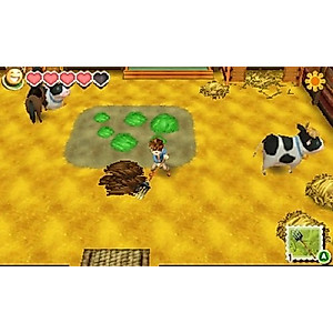 Story of Seasons (Nintendo 3DS)