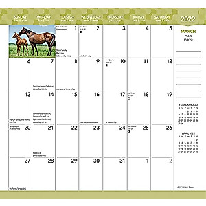 Horse Lovers 2022 3.5 x 6.5 Inch Two Year Monthly Pocket Planner, Animals Equestrian