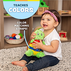 Buckle Toys - Bucky Turtle - Toddler Learning Activity - Develop Motor Skills and Problem Solving - Counting and Color Recognition - Sensory Stuffed Animal Travel Toy