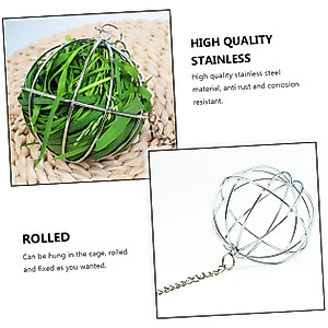 balacoo 2 pcs Sphere Hay Feeder Guinea Pig Hamster Hanging Grass Dispenser Pet