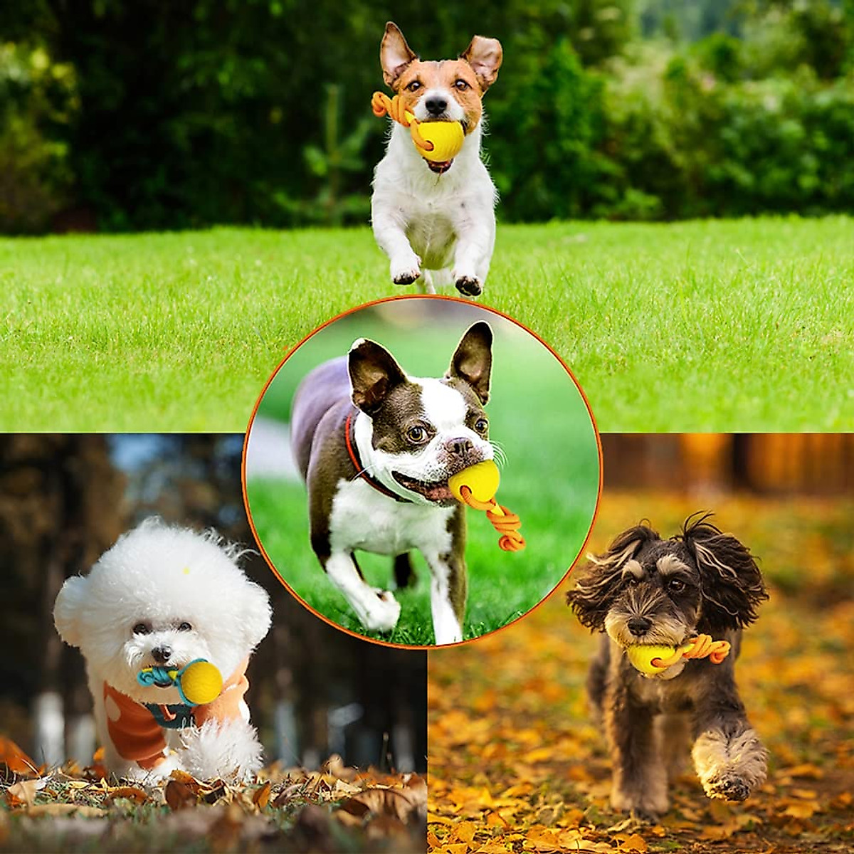 Dog ball on rope toys for aggressive chewers,Interactive dog ball toy almost indestructible for small dogs,Floating puppy chew toys2.76in