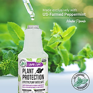 Mighty Mint Peppermint Plant Protection Spray for Insects, Gnats, Fungus, Mites, and Disease, 16 oz