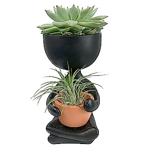 Zen Harmony Planter - Live Plants in a Decorative Pot - Cactus | Succulent | Air Plant - A Symbol of Serenity and Natural Beauty
