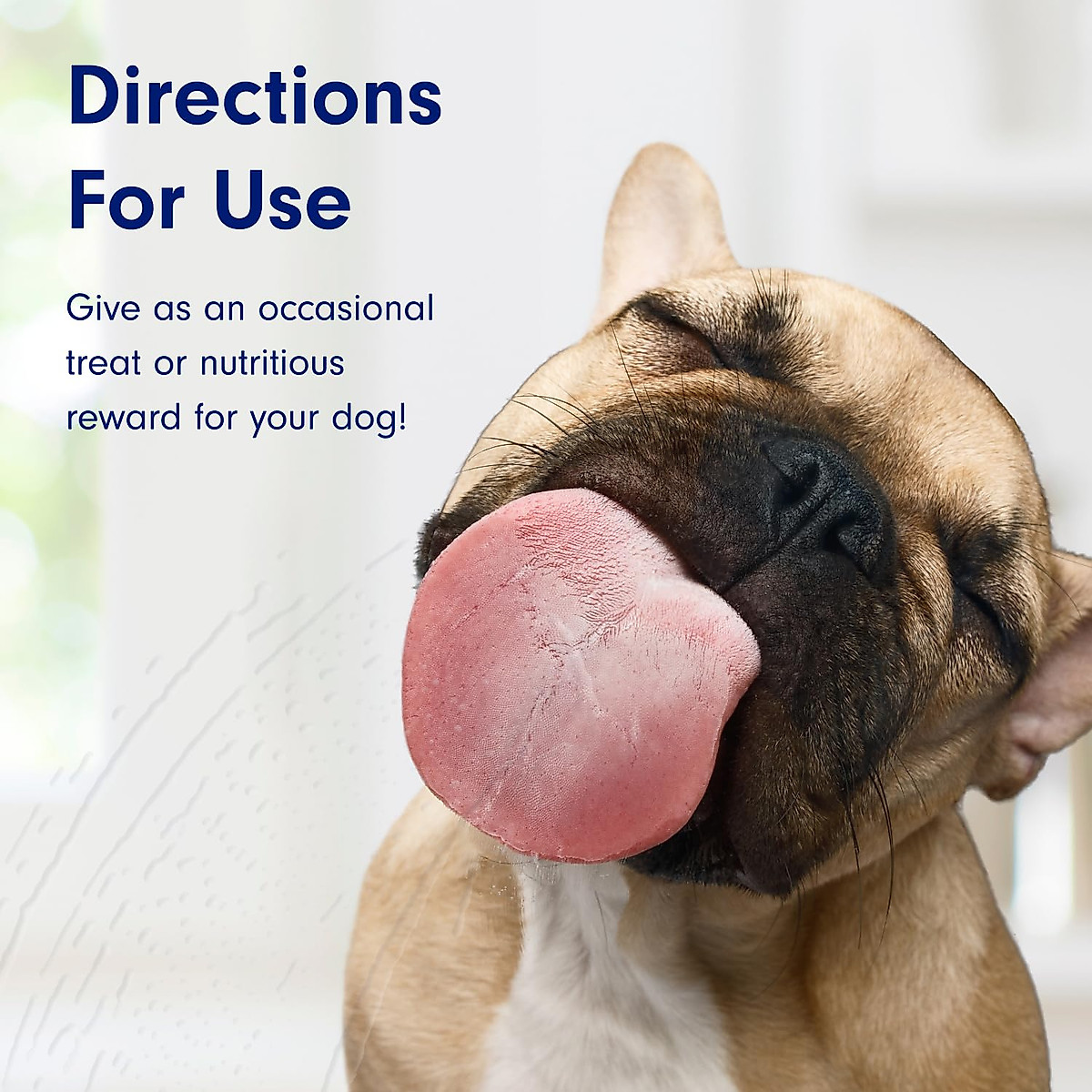 PetLab Co. Digestive Support Bites - Dog Training Treats - Chewy Dog Treats to Support Gut Health - Training Treats for Dogs - Premium Ingredients and Nutritional Benefits - Delicious Puppy Treats