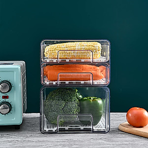 BigTron Food Storage Double Layer Container with Lids Removable Drain Tray for Refrigerator, Food Fruit Vegetables,fridge organizer Stackable Meal Fresh Keeper Bins Clear