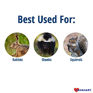 Havahart 1083 Catch and Release Small 1-Door Easy Set Humane Live Animal Trap for Squirrels, Rabbits, Skunks, and Other Small Animals