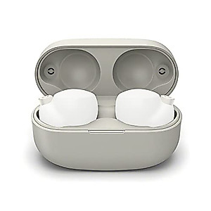 Sony WF-1000XM4 Replacement OEM Charging Case (Silver)