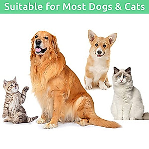 Cat Brush for Shedding - Cat Grooming Brush Cat Brushes for Indoor Cats Self Cleaning Pet Sicker Brush Dog Brush for Long or Short Hairs Easy Removes Mats, Tangles Loose Undercoat Hairs(Green)