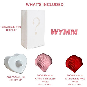 WYMM “Happy Birthday” Light up Letters with LED Lights and Rose Petals Included | Luminary Paper Bags to be Used as Happy Birthday Decorations for Your Loved one