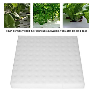 Fdit 100Pcs Hydroponic Sponge Planting Sponge Gardening Tool Seedling Sponges for Greenhouse