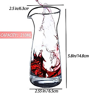 Inevoc Wine Decanter,Inevoc 6 Pack Single Serving,Mini Size Decanters,Small Individual Wine Carafes,Wine Carafe Decanter,Small Carafe for Wine Dinner Parties,Wine Tastings Transparent