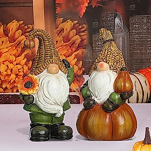 Argodaze 2PCS Thanksgiving Decor Figurines Resin Pumpkin Gnomes Fall Statues Halloween Christmas Handmade Harvest Indoor Home Farmhouse Decorations