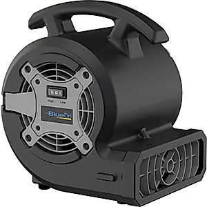 Lasko BlueDri Portable 1/8 HP Mini Multi-Purpose Air Mover Blower Utility Fan for Home, Carpet and Floor Drying, Black, BD-VP-15-BK