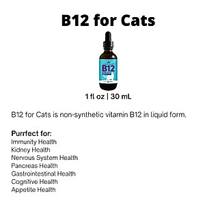 Jackson Galaxy: B12 for Cats-Dietary Supplement-Supports The Health of Your cat’s Immune System, Nervous System, Digestive System & Cognitive Function.